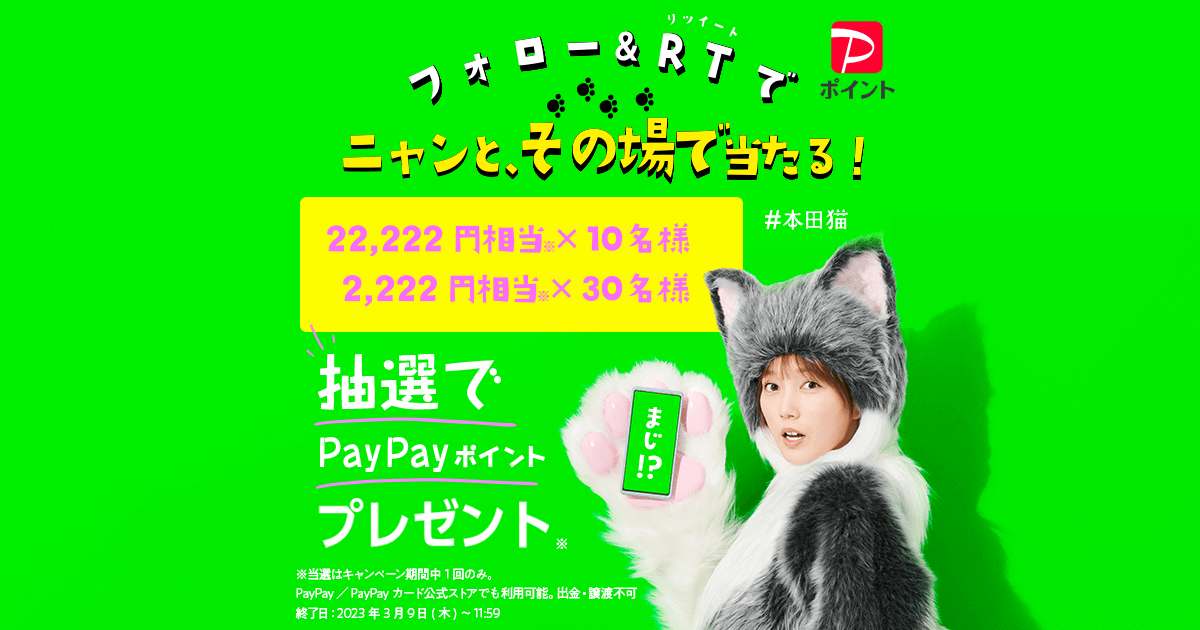 本田猫と遊ぼう！Twitter キャンペーン｜キャンペーン｜【公式】LINEMO - ラインモ｜格安SIM／格安スマホ